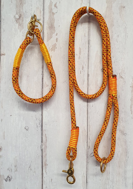 Launch of handmade rope dog collars and leads / Collared Creatures ...