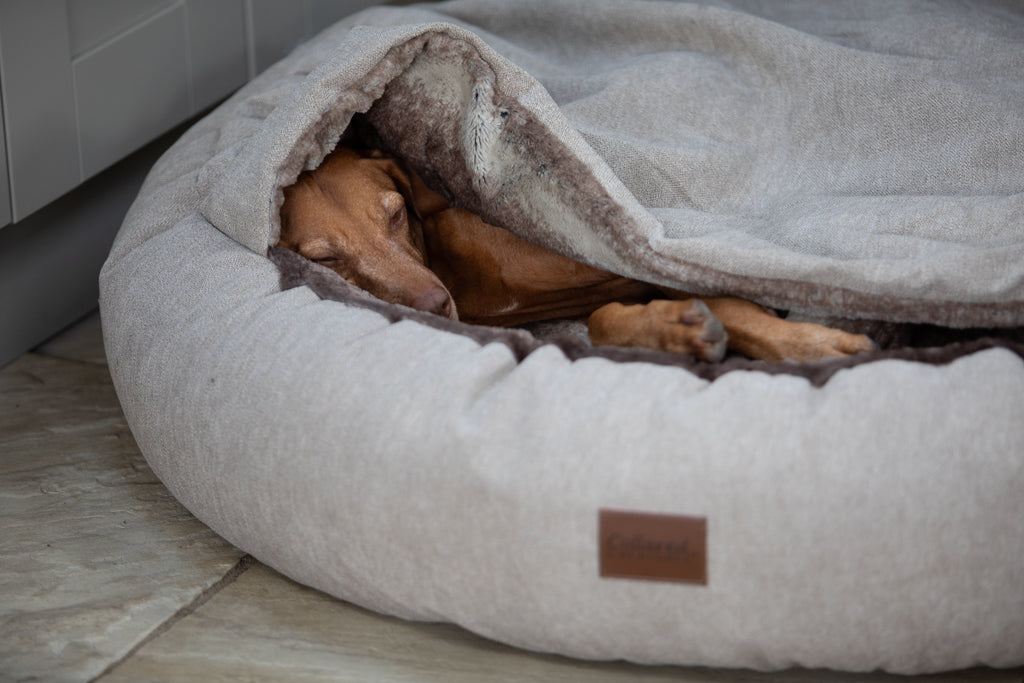 Classic Comfort Cocoon Hooded Dog Bed - Collared Creatures – Collared ...