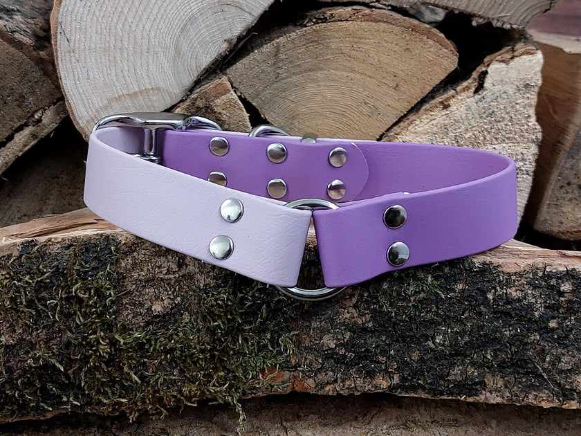 Amethyst & Pastel Pink Waterproof Biothane Dog Collar| Collared ...