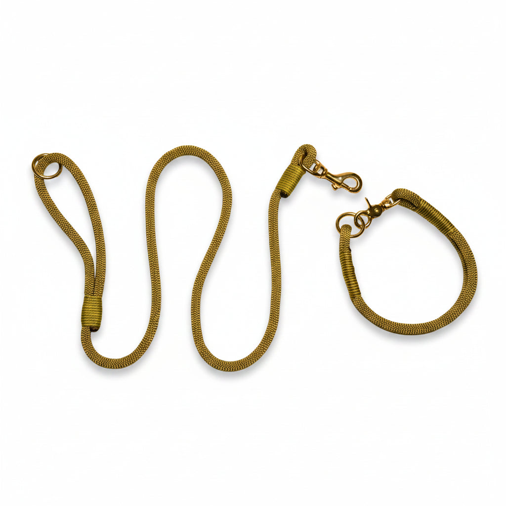 Golden Treasure Round Rope Dog Collar – PPM & Brass – Collared Creatures