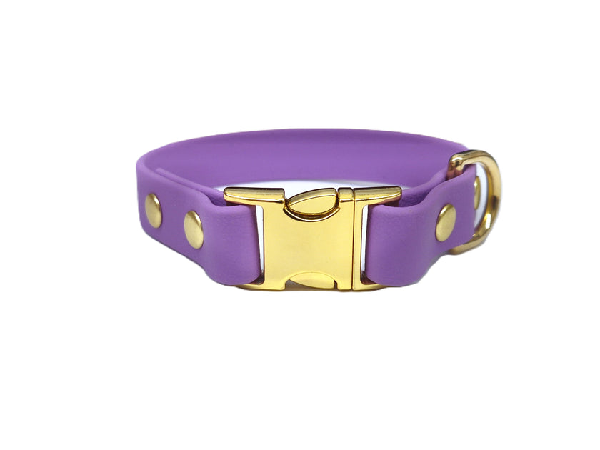 Signature Collection - Small Breed Waterproof Biothane Dog Collars ...