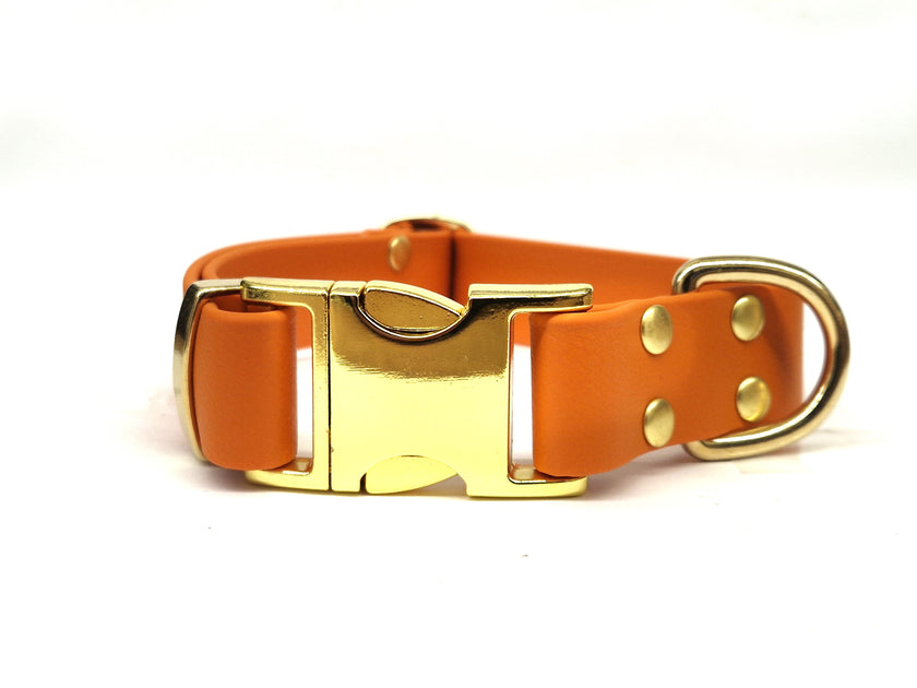 Burnt Orange Waterproof Biothane Metal Clasp Dog Collar – Collared ...