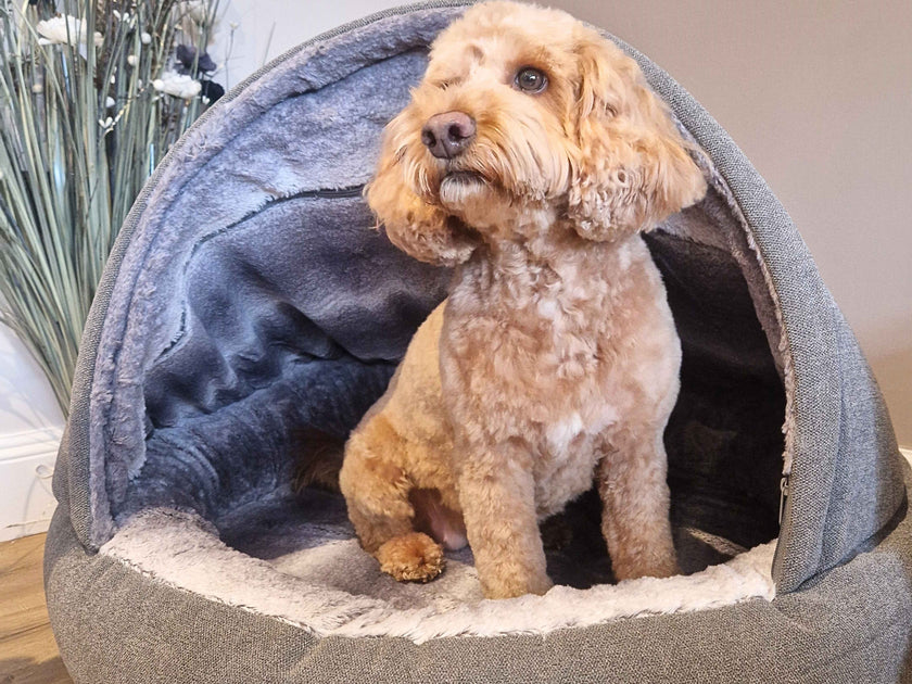 Grey Faux Fur Hooded Dog Bed – Deluxe Cocoon Calming Pet Bed – Collared ...