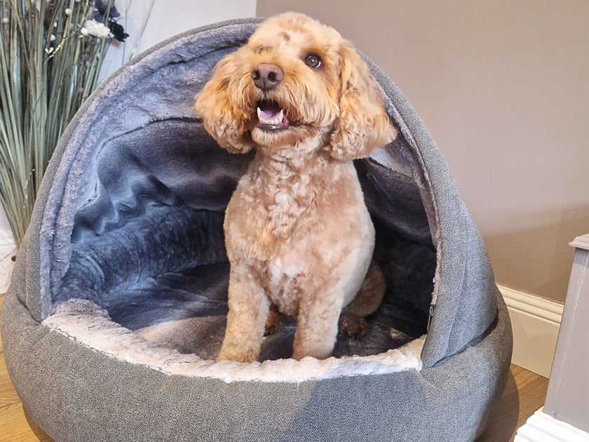 Grey Faux Fur Hooded Dog Bed – Deluxe Cocoon Calming Pet Bed – Collared ...