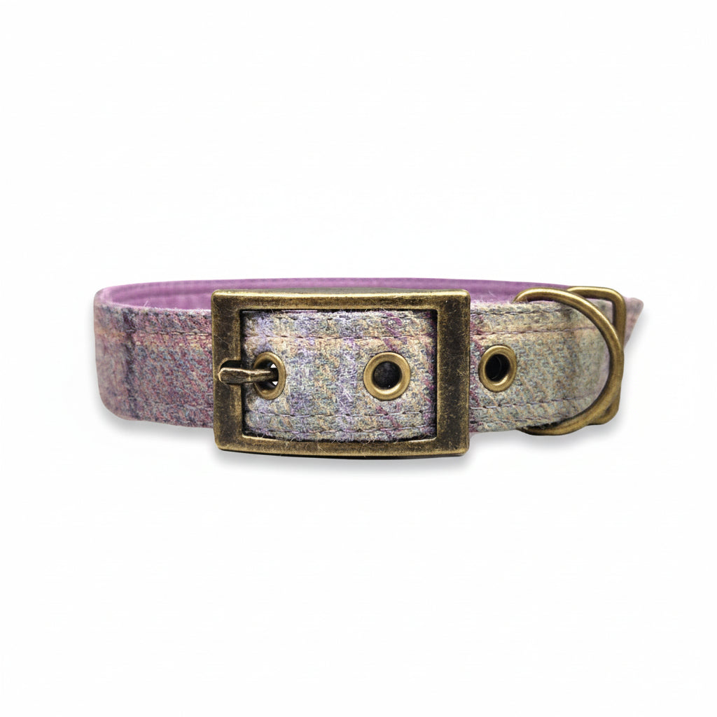 Kincraig Heather Dog Collar – Abraham Moon Wool, Handmade UK – Collared ...