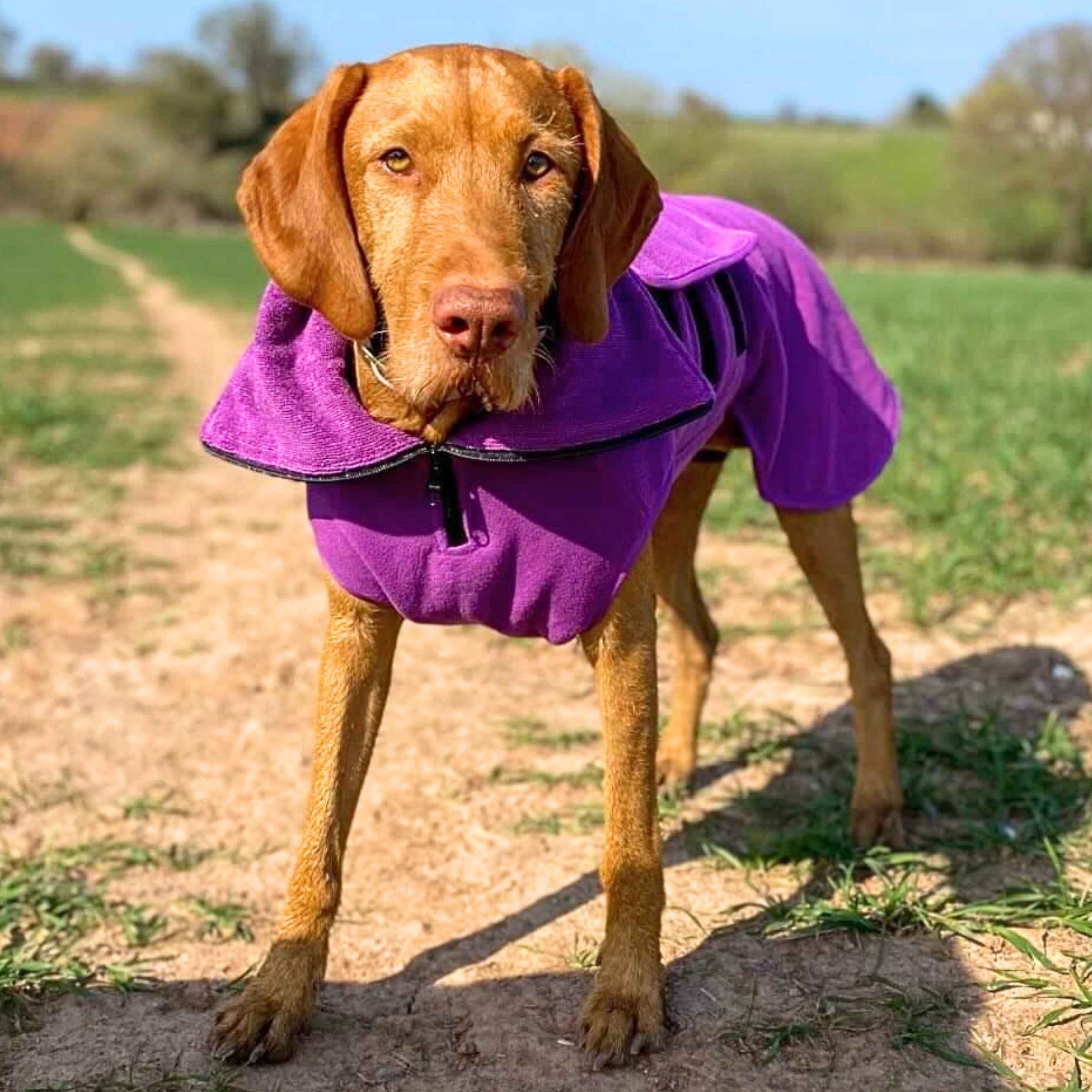 Dog Drying Coats UK - Quick-Dry, Adjustable Fit & Warm Drying Robe ...