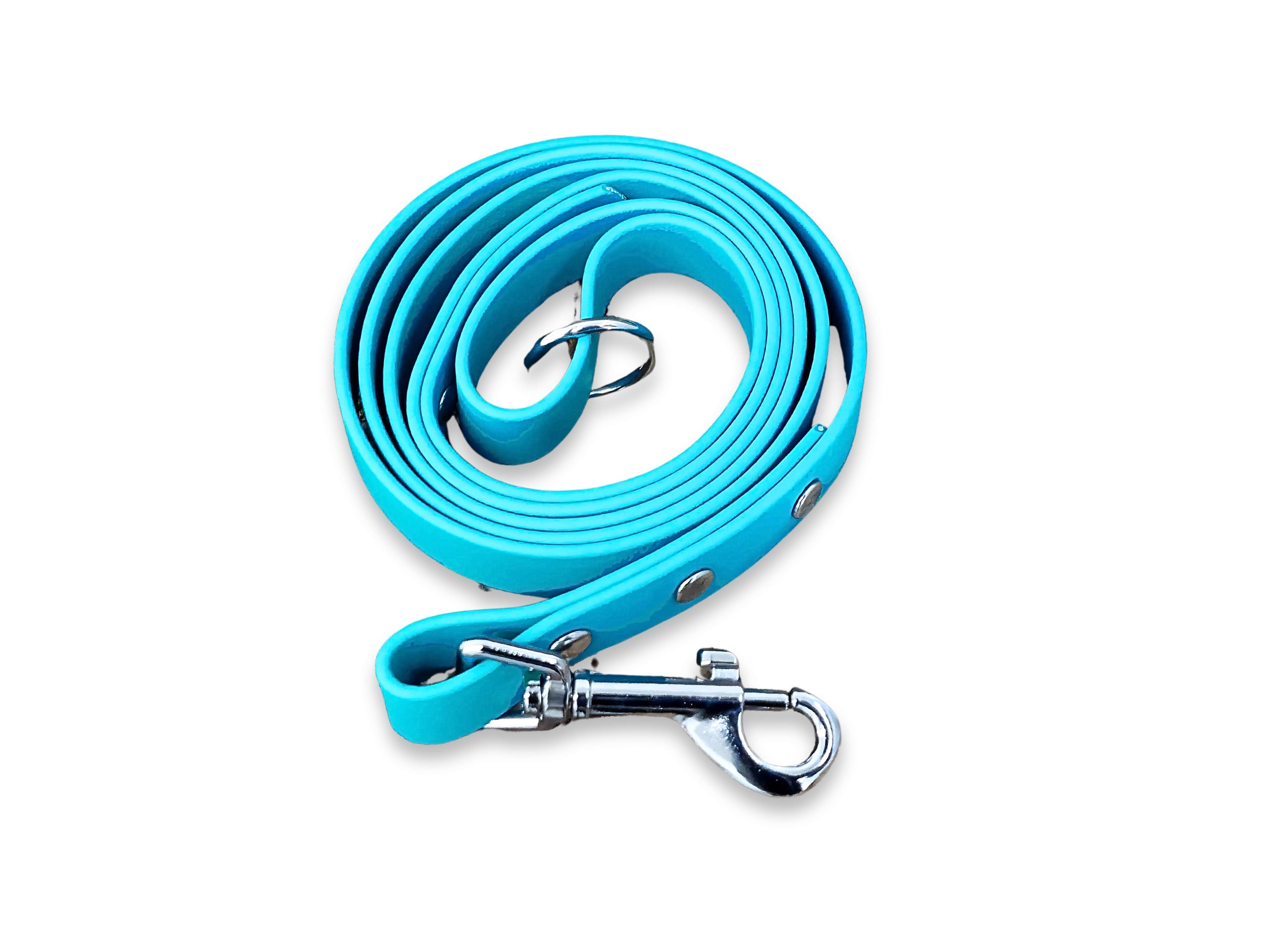 Waterproof Dog Lead – Teal Biothane 1.2m Clip Leash – Collared Creatures