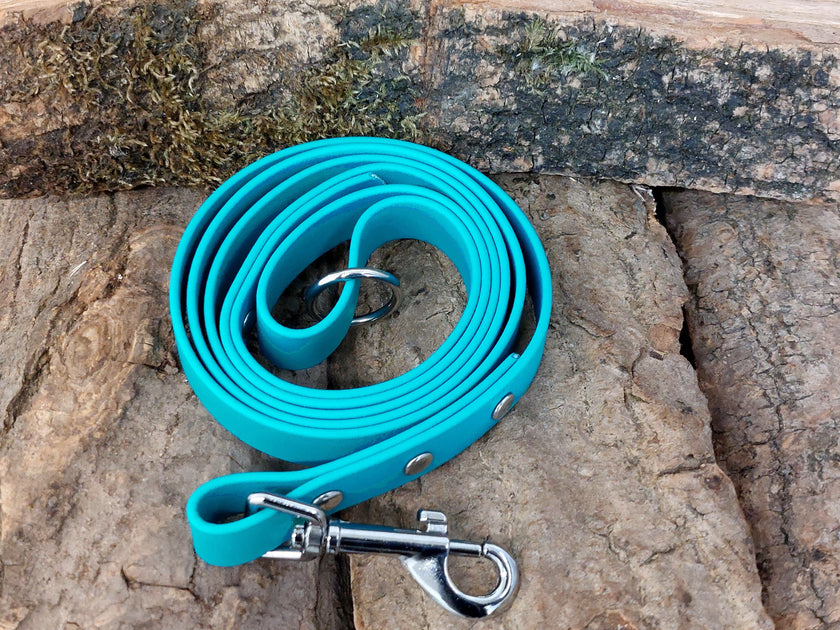 Teal Waterproof Biothane Dog Lead | Collared Creatures – Collared ...