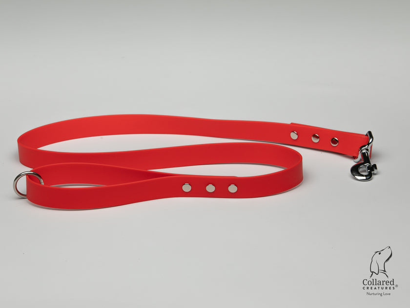 Red Waterproof Biothane Dog Lead | Collared Creatures – Collared ...